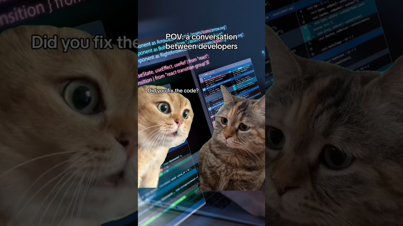 Cat Coders 🐱💻: Hilarious Developer Talk in Feline Form!