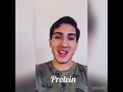 How to pronounce “Protein”