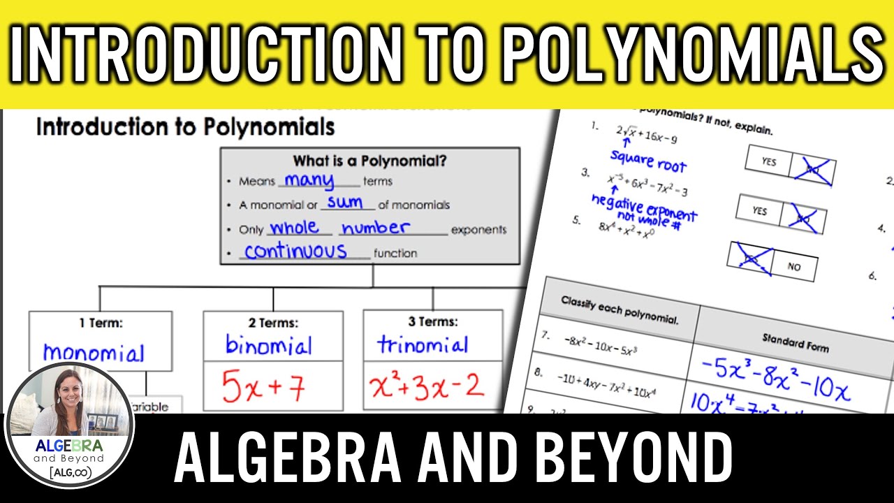 Introduction to Polynomials | Algebra 2 Lesson