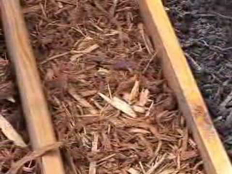 Garden Mulches