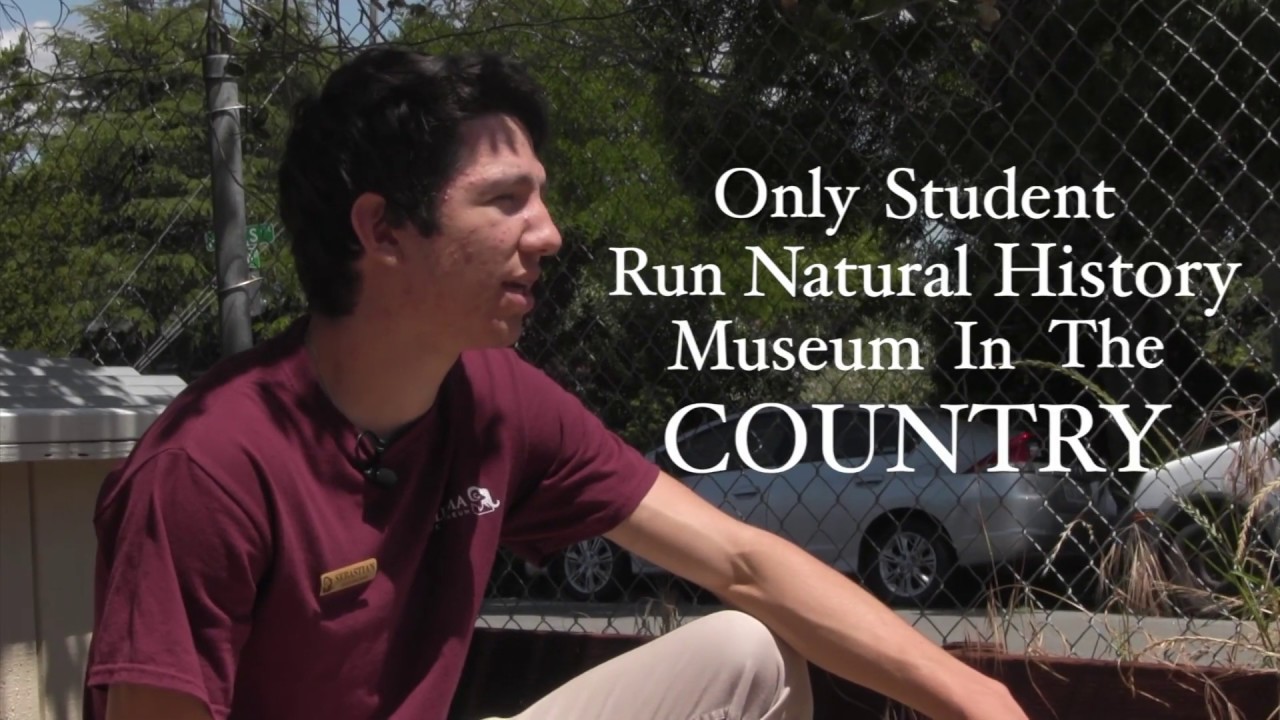 Petaluma Wildlife Museum GoFundMe - #SavePWM