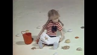 Sesame Street Girl Beach Watch HD Mp4 Video Download Free