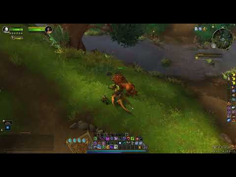 Taivan's Purpose, WoW Dragonflight Quest