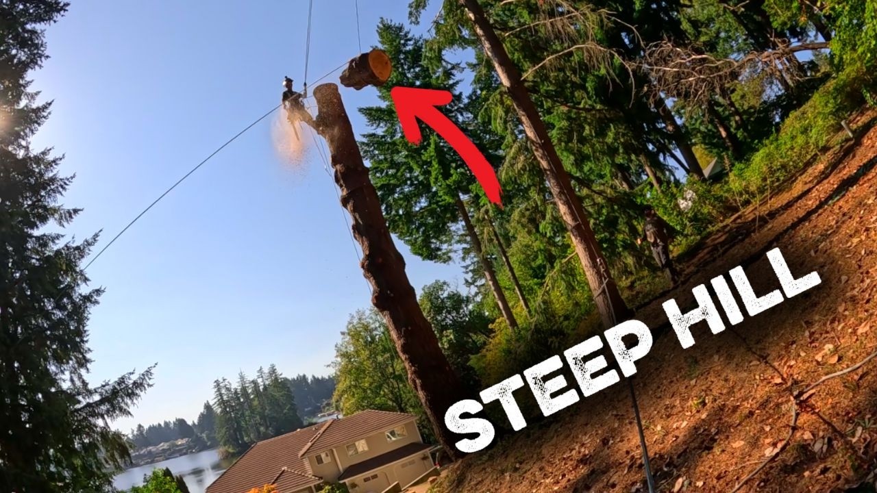 Technical 120ft Tree Removal on a Steep Hill!