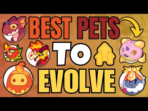 The BEST Pets to Evolve in Prodigy! Part 2 | Prodigy Math Game