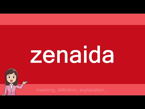 zenaida