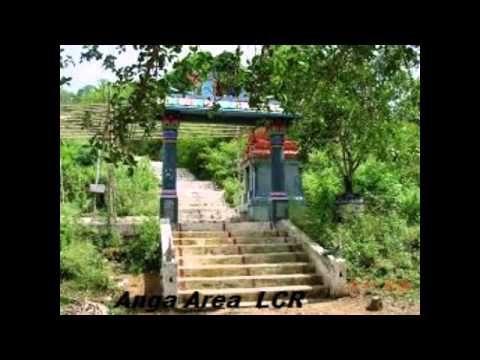 Kalvarayan hills must