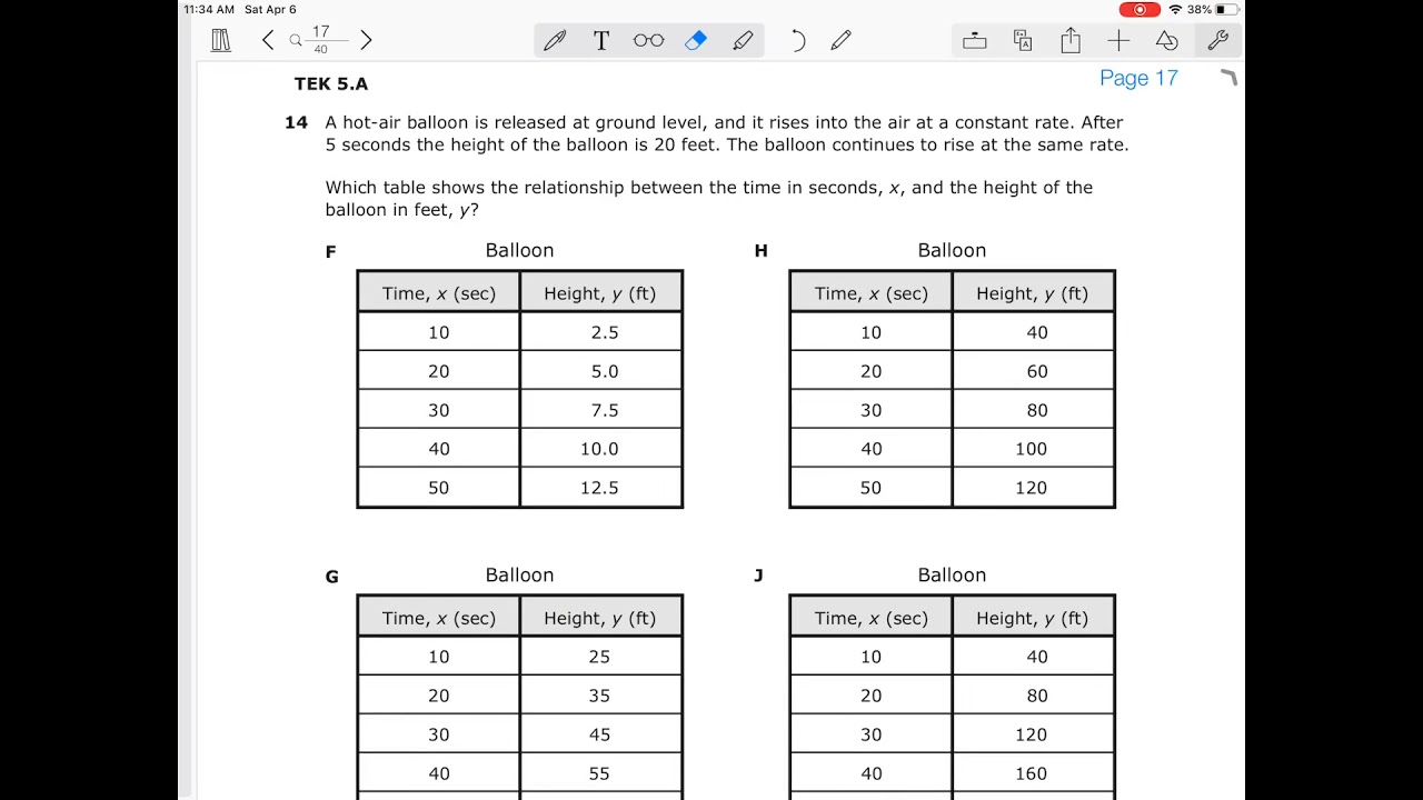 Math STAAR 8th Grade #14-#19