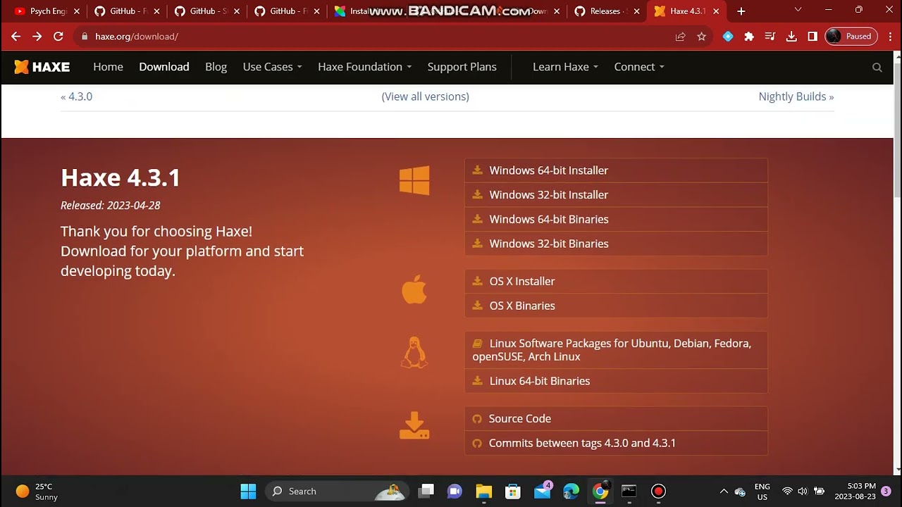 fnf source code compiling issue