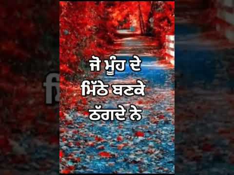 ਕਮੀ|New Heart Touching Shayari | new punjabi sad status | WhatsApp status | motivation
