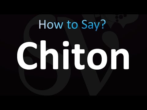 How to Pronounce Chiton (Correctly!)