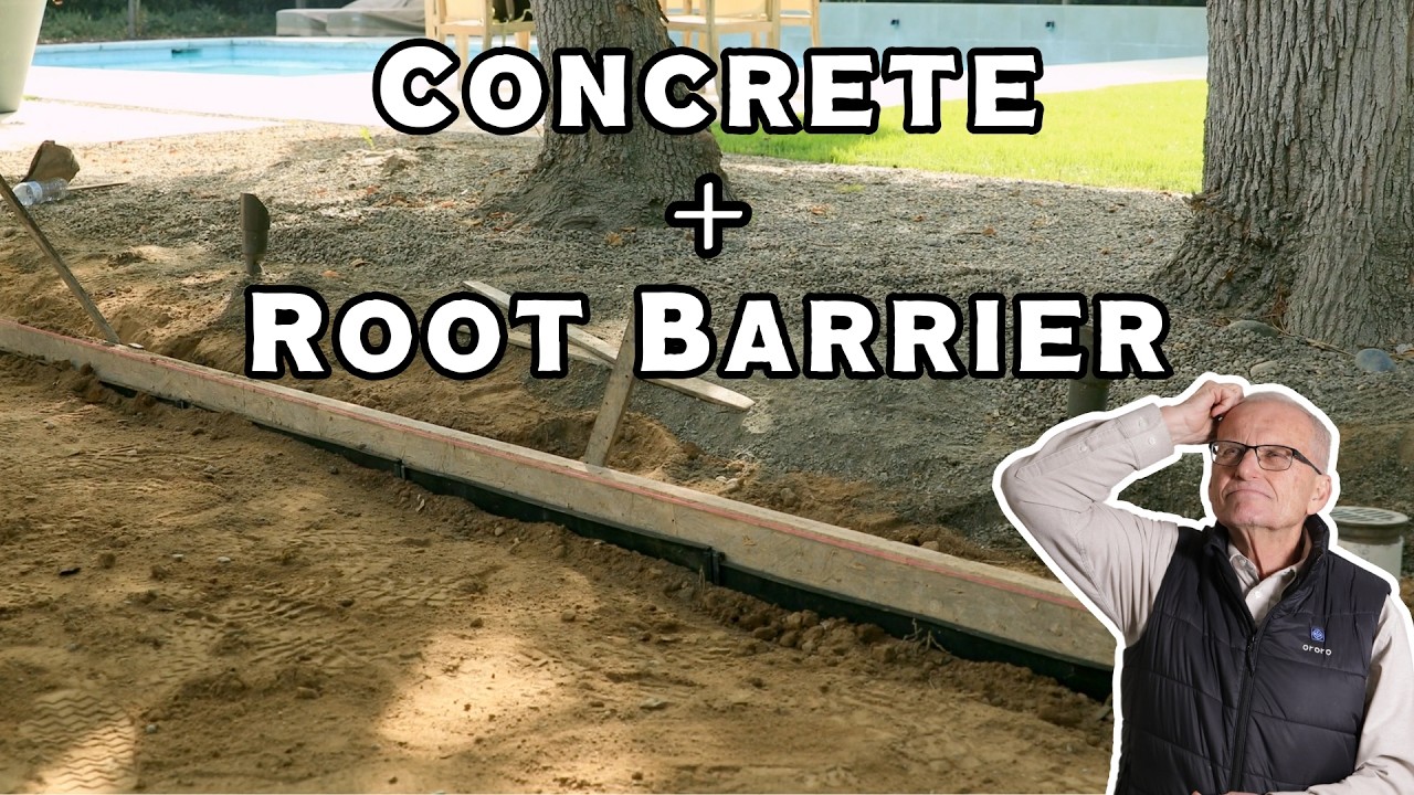 Clever Root Barrier Installation for Problematic Tree Roots