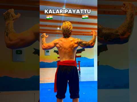 Kalaripayattu????????????????????????#shorts