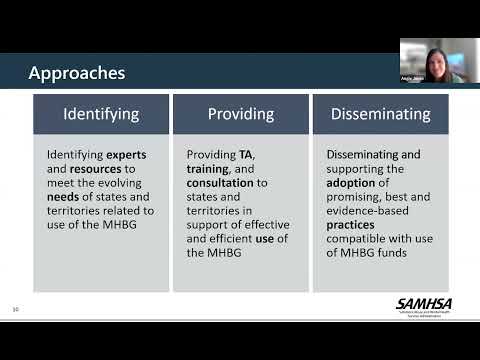 CMHS Introduction to State Program Improvement Technical Assistance