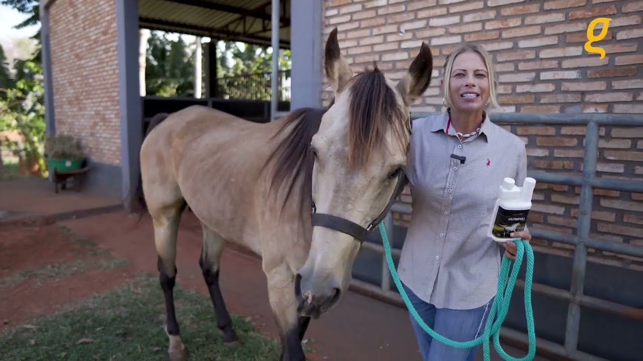 Vitamins, minerals, and amino acids for your horse – discover Organnact's Nutrifull Equi