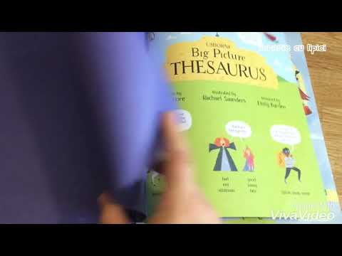 Big Picture Thesaurus - Usborne