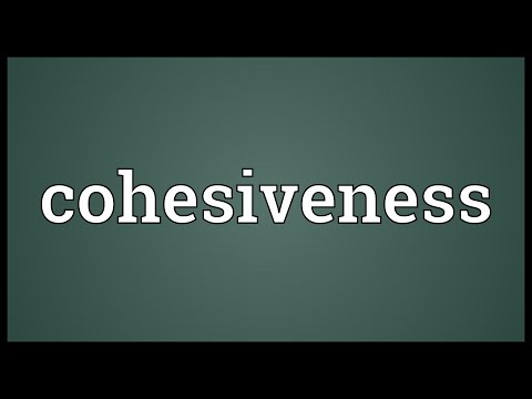 Cohesiveness Meaning