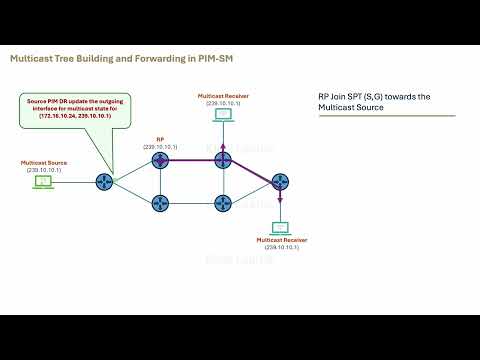 Understanding IP Multicast: Multicast Tree Building and Forwarding in PIM-SM
