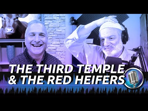 The Third Temple and the Red Heifers | Adam Eliyahu Berkowitz