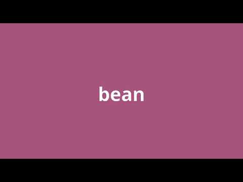 what is the meaning of bean
