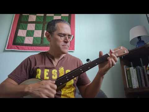 Thumpy Banjo - Ultra-Light Shoeless - Short-Scale - Fretless | Reverb