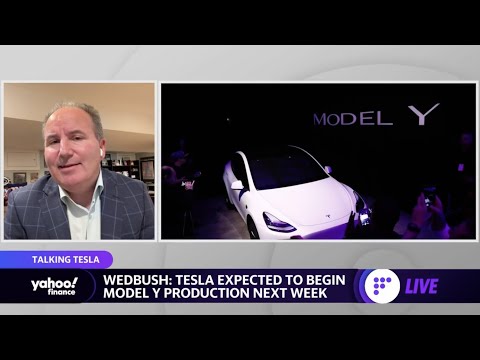 Tesla’s Austin factory is the ‘golden jewel’ in its supply ecosystem: Analyst