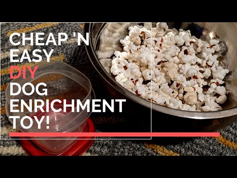 Meanwhile in Oregon… – Go Jules Go