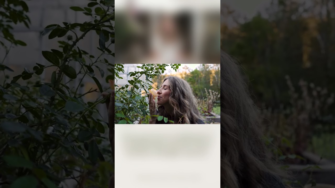 Join the Immersion Class of 2025 | Build Your Creative Career in Surface Pattern Design 🌟🎨