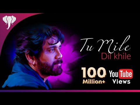 Tu Mile Dil Khile | Telusa Manasa | Akkineni Nagarjuna | Anoop Sankar | Ramu Raj | Full Version