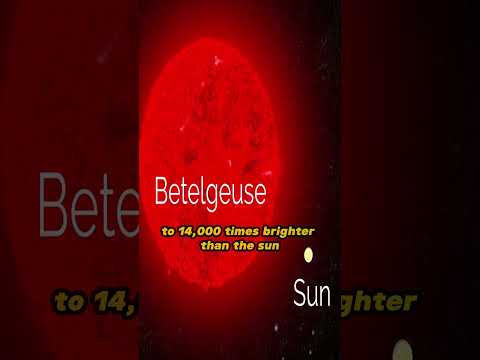 Betelgeuse is a red SUPERGIANT Star #space #shorts #astrology