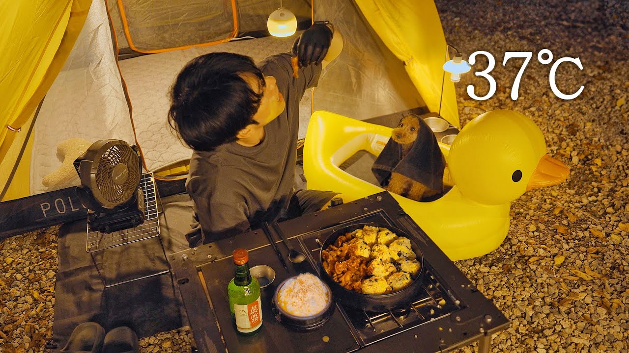 50 Most Viewed ASMR Videos - Week 35, 2025 - ASMR Press