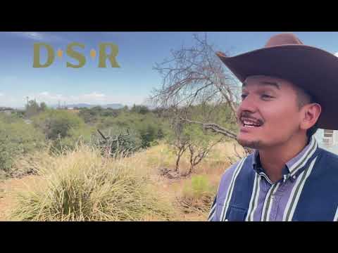 DSR 2023 promo