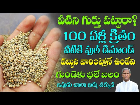 Bajra - Wholesale Price & Mandi Rate for Pearl Millets