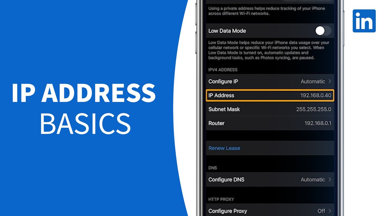 IT Support Tutorial - Understanding IP Addresses