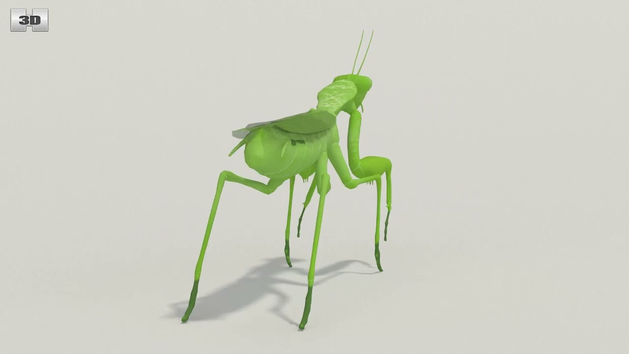 Mantis Low Poly 3D model by 3DModels.org