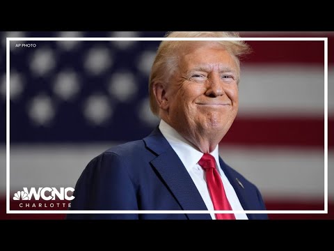 In Depth: 2024 election results
