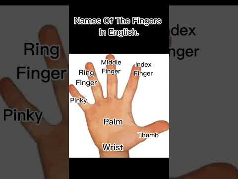* Names Of Fingers & Toes *