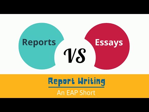 What is a report?
