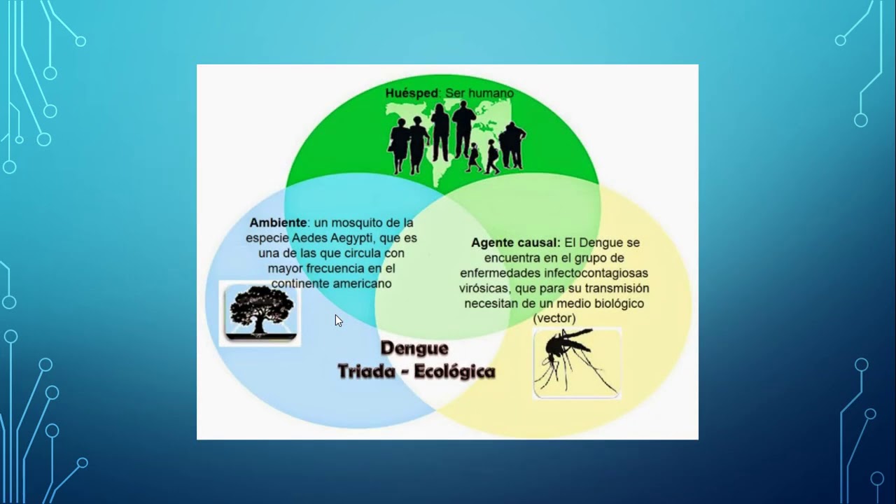 Tutorial triada ecologica covid 19