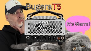 Bugera T5 Infinium 5-watt Class-A Tube Head - What To Know & Where To ...