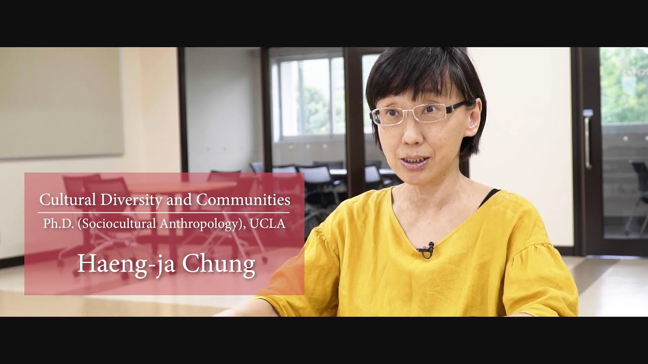 Introducing DISCOVERY Program for Global Learners at Okayama University(Based on faculty interviews)