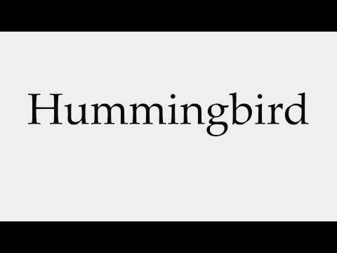 How to Pronounce Hummingbird