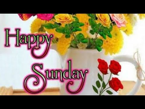 good morning happy sunday images || have nice day