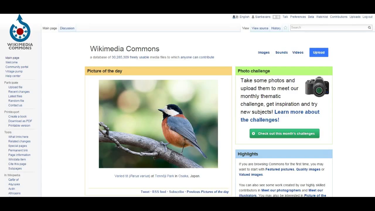 Beginner Training - Video  Adding Images to Articles