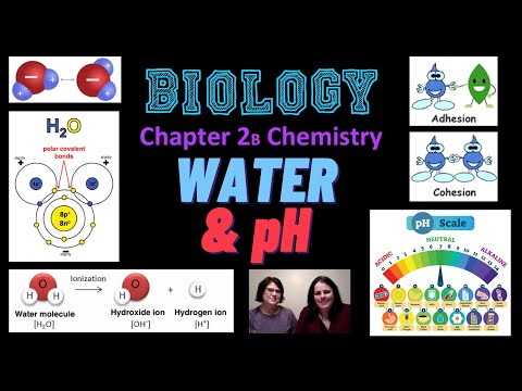 Ch. 2B - Water & pH (Biology)