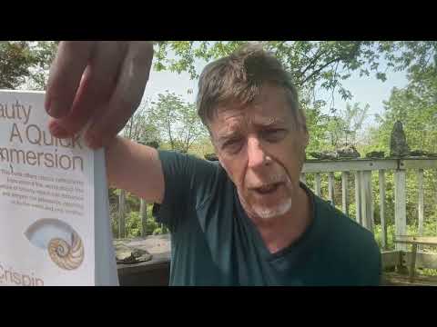 What is Beauty? (A Quick Immersion): a situational ontology of value