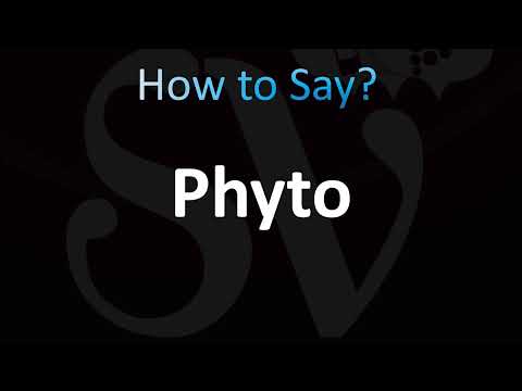 How to Pronounce Phyto (Prefix, Greek)