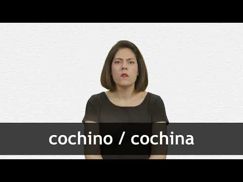 English Translation of “COCHINA” | Collins Spanish-English Dictionary