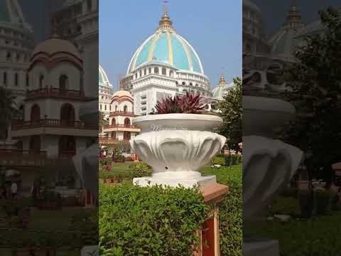 mayapur bong ।#mayapur #vlog