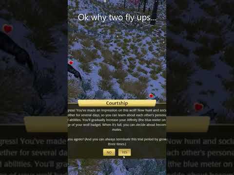 Does that mean Two mates???( WolfQuest Anniversary Edition)